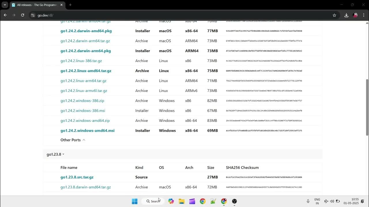 Go Lang Verify After Installed | Go language tutorial for beginners hindi | golang - YouTube