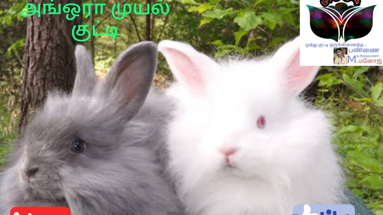 September 4, 2024 - YouTube