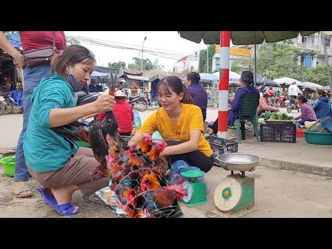 Selling chickens and eggs, income from livestock. (Episode 100). - YouTube