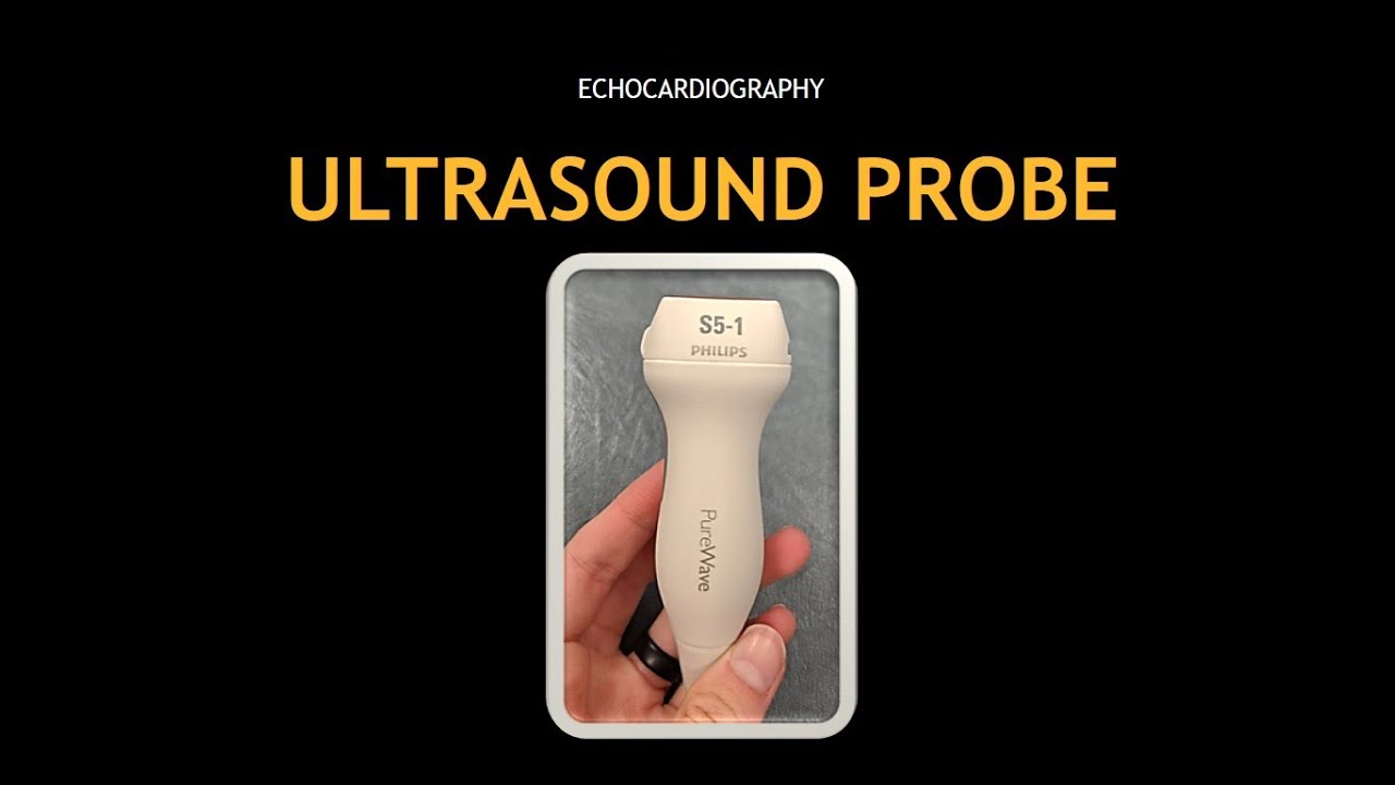 ULTRASOUND PROBE: Movements! (Echocardiography) - YouTube
