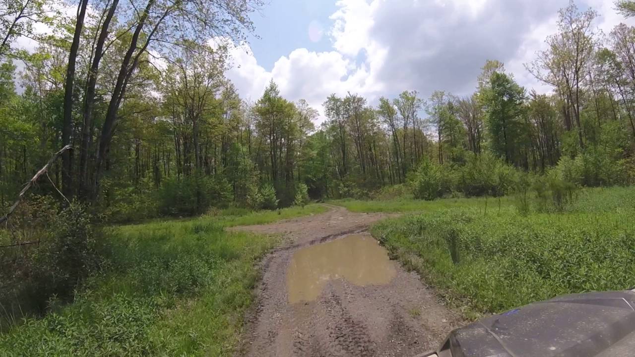 YMR trail ride - YouTube