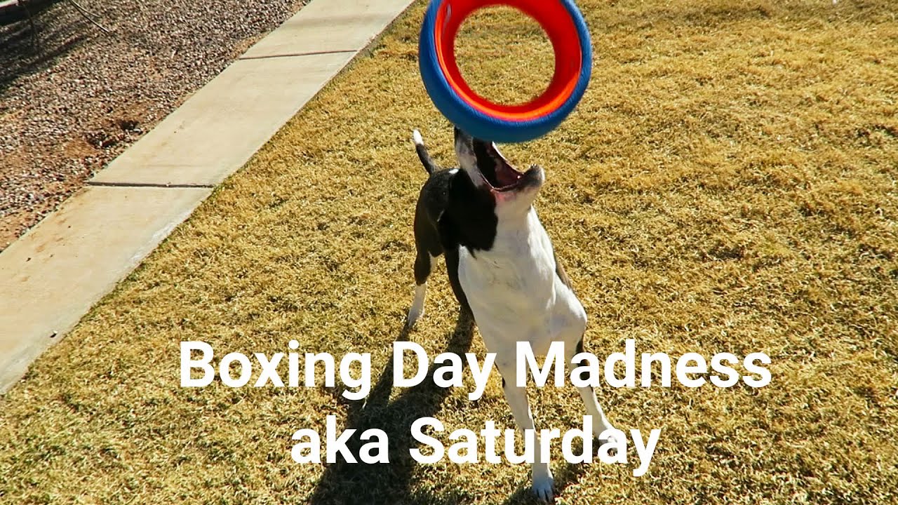 Boxing Day Madness aka Saturday - YouTube
