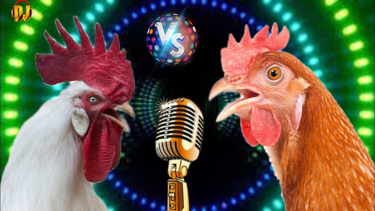 Geco Chicken Dance 22 ! funny chicken Song & Videos ! - YouTube