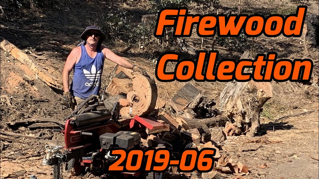 Firewood Collection - Clearing Trees above the Turning Circle - 2019-06 ...
