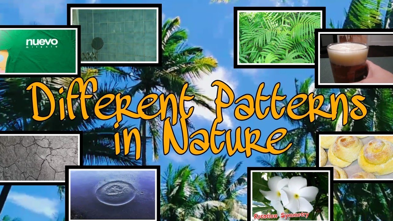 Different patterns in Nature - YouTube