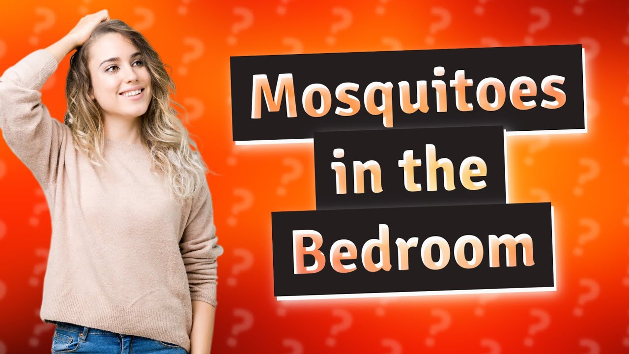 Where do mosquitoes hide in the bedroom? - YouTube