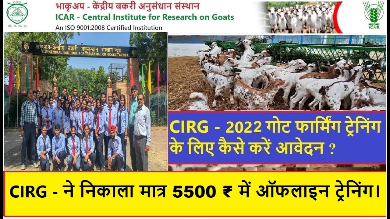 CIRG Goat training 2022 || CIRG ने निकाला मात्र 5500 रु में ऑफलाइन बकरी ...