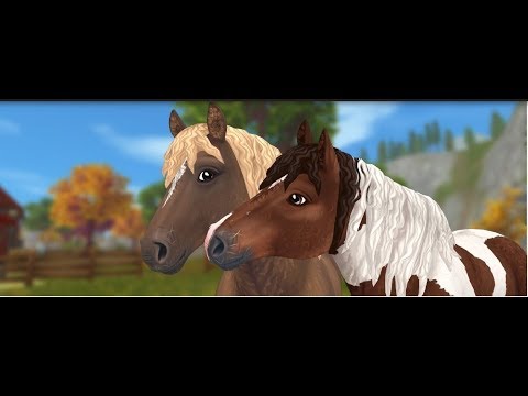 Ser på curly hester!