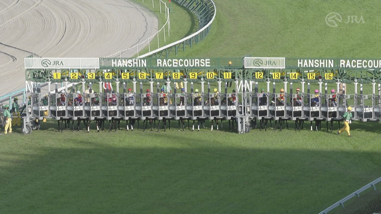 2022 SHUKA SHO (G1) | JRA Official - YouTube