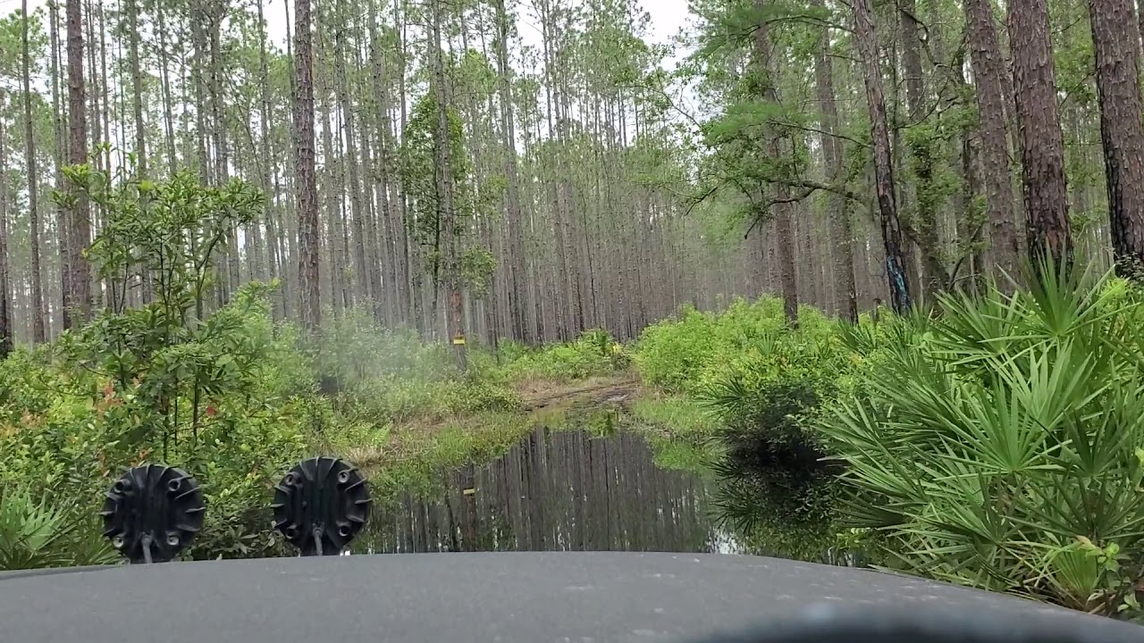 One easy trail from the weekend - YouTube