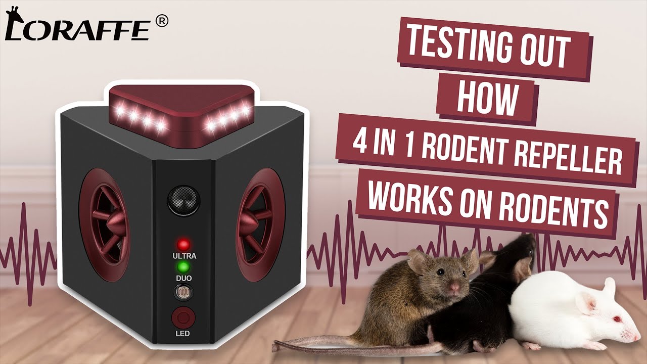 Testing out how Loraffe ZN-666 4 in 1 plug in rodent repellent works on ...