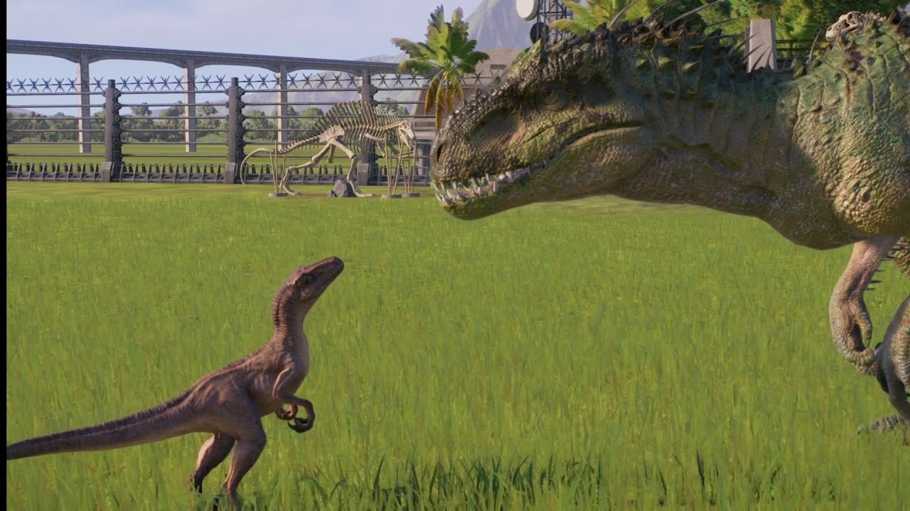 INDOMINUS REX Y RAPTOR VS T REX JURASIC PARK GAME 2024 DINO FIGHTS ...