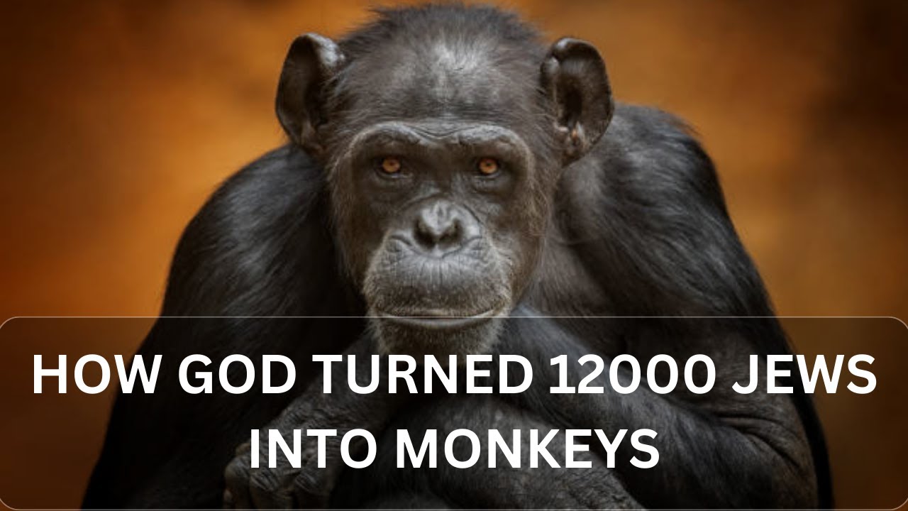 How God Turned 12000 Jews into Monkeys|Why did the people of Prophet ...