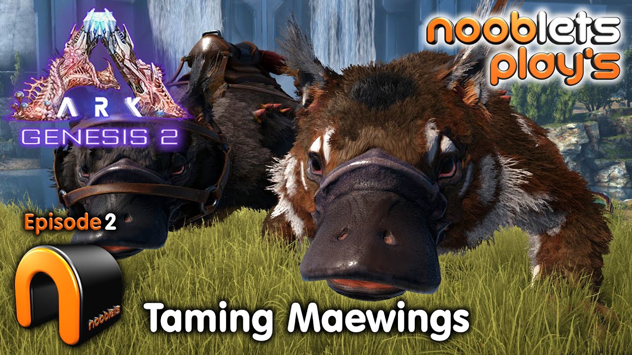 ARK Genesis 2 Taming Maewings Ep2 NoobLets Plays! #ARKgenesis2 - YouTube