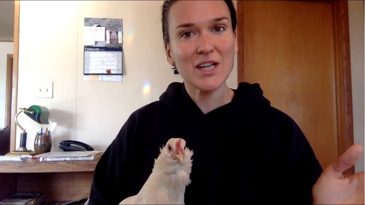 Snowball & The CP Telethon WBAY-TV 2 ABC!!!! - YouTube