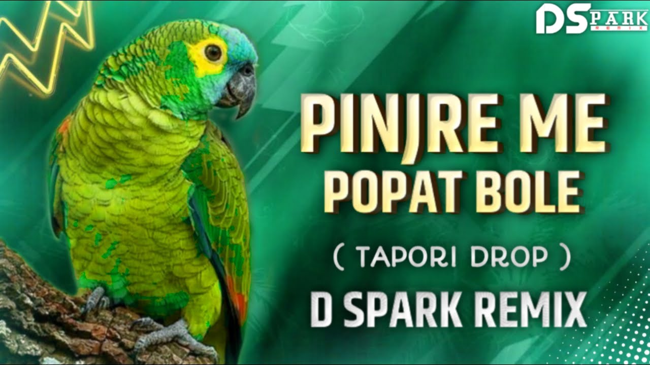 PINJRE ME POPAT BOLE TAPORI DROP MIX D SPARK REMIX | Bhishma 1996 ...
