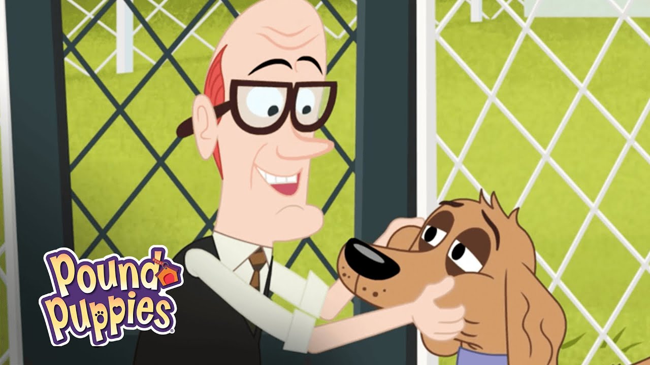 Pound Puppies - Old Dogs are Nothing But Work - YouTube