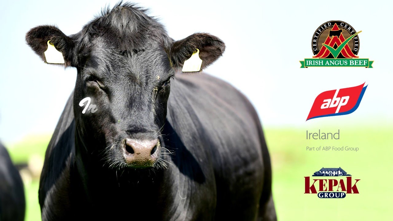 Certified Irish Angus Beef Schools Competition - Winner 2014 ...