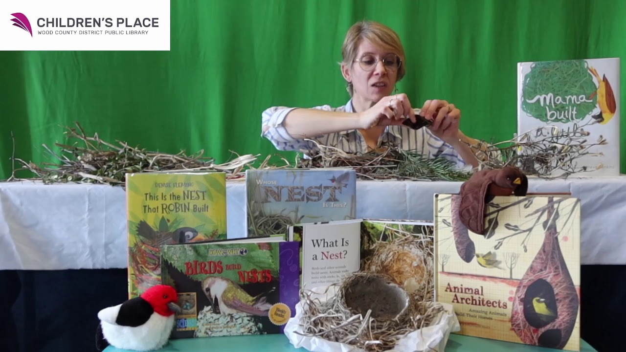 STEM Demonstration: Building Nests - YouTube