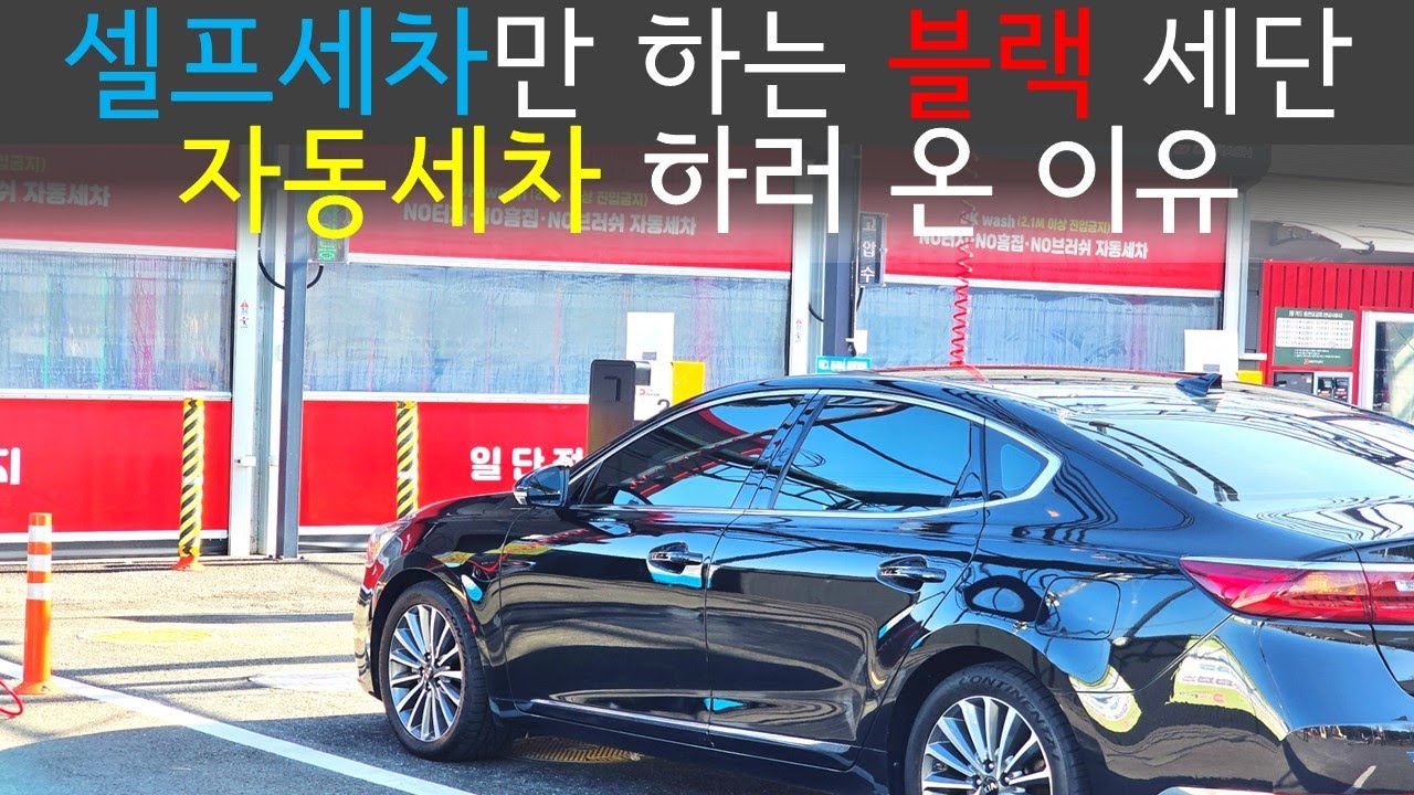 셀프세차만 하는 블랙 세단 자동세차하러 온 이유 노터치자동세차 디케이워시 Youtube