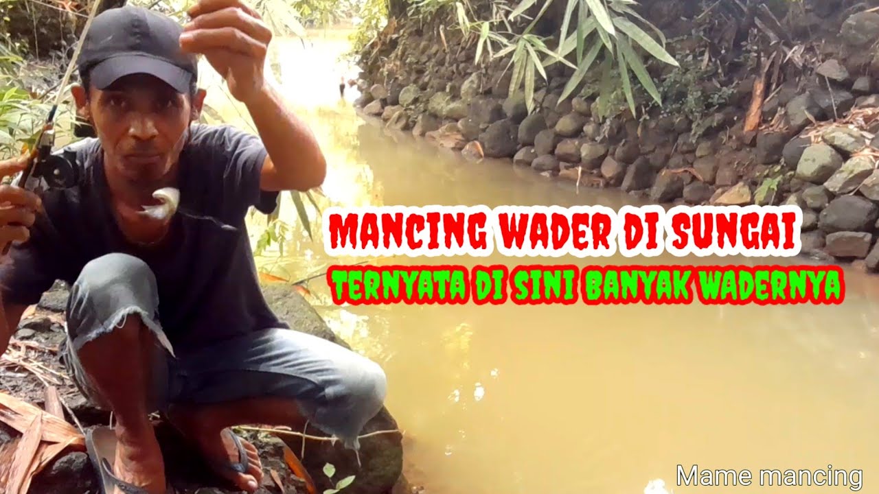 Mancing Wader di Sungai#mamemancing - YouTube