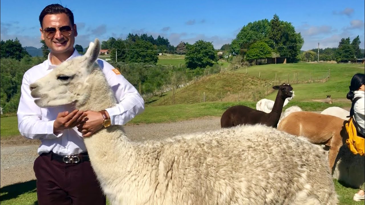 VL#76 | Farms in Rotorua,New Zealand by Kabir Afridi - YouTube