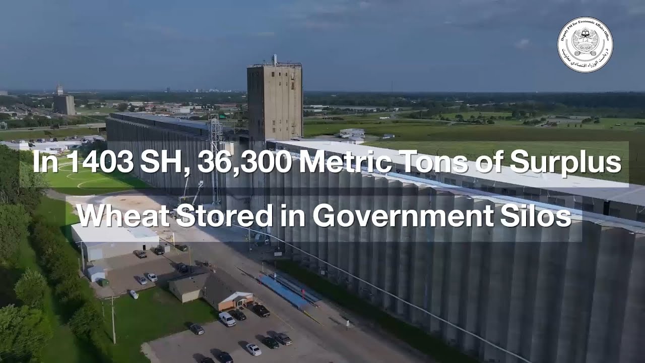 In 1403 SH, 36,300 Metric Tons of Surplus Wheat Stored in Government ...