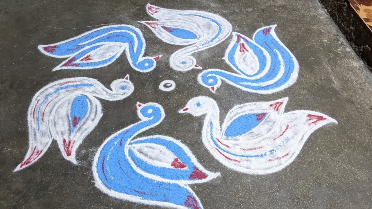 ||7*4 easy swan rangoli || sankranthi muggulu||🌺🦢🌺🌸 - YouTube