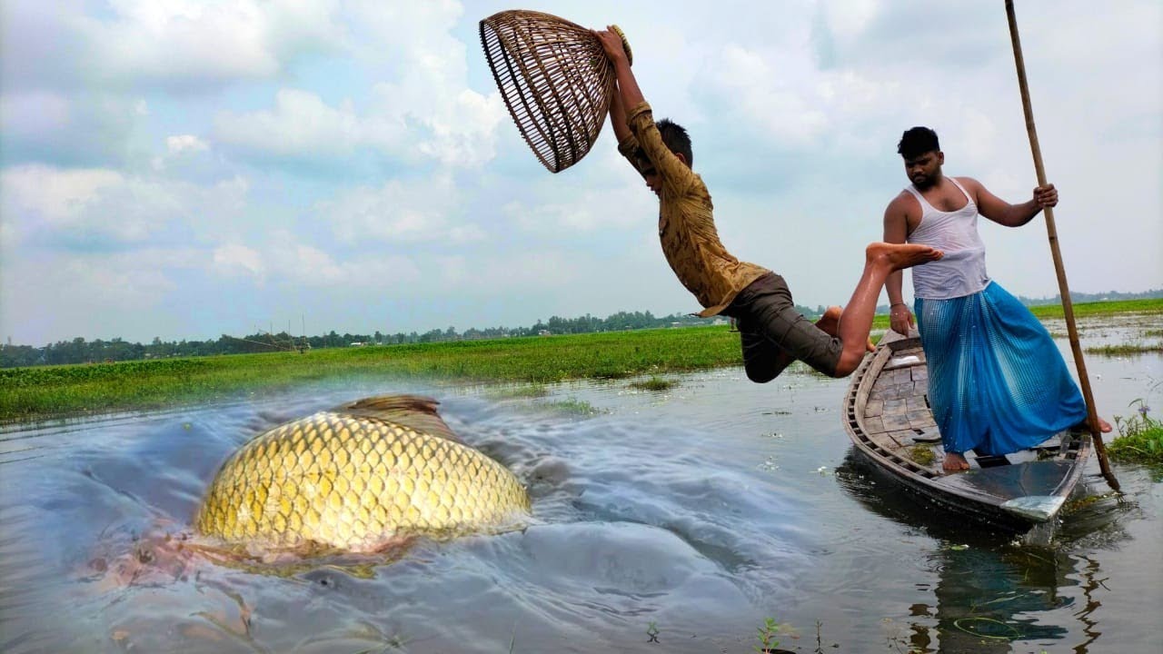 Unbelievable Daily Catching Big Fish By Polo🐬Amazing Possible By Boat ...