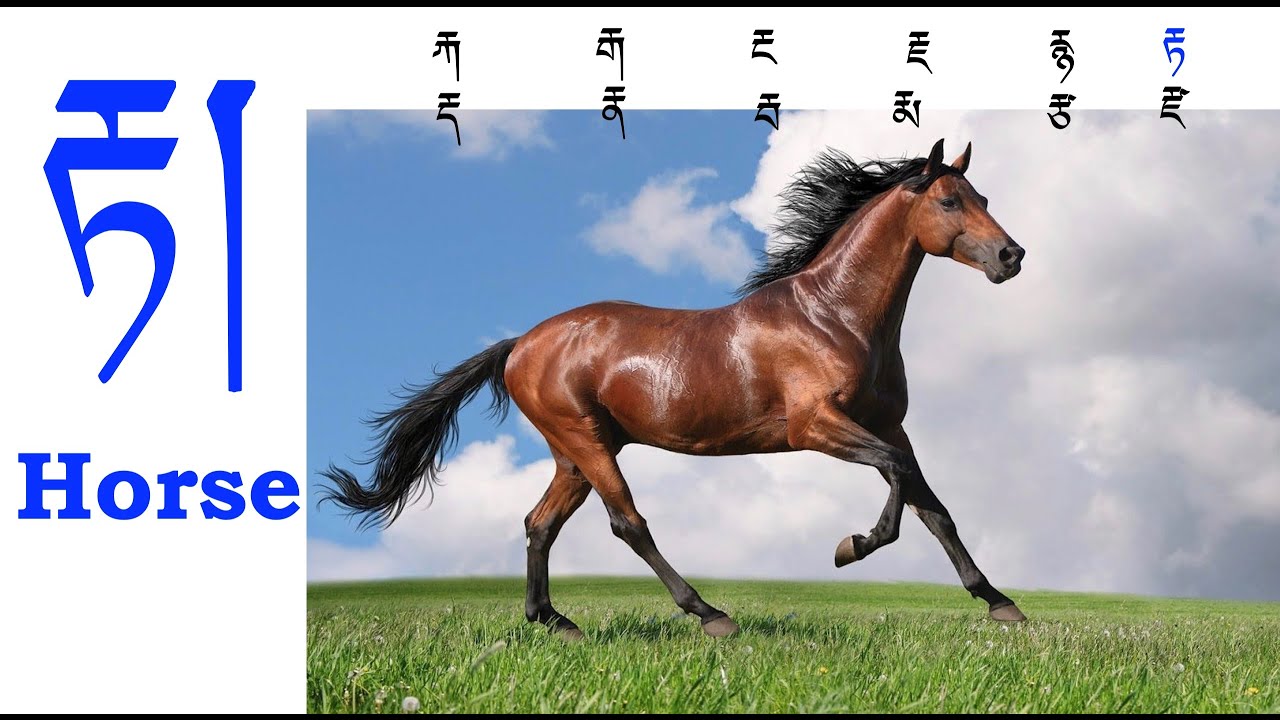 Basic Tibetan Language Grammar Part 10 - YouTube