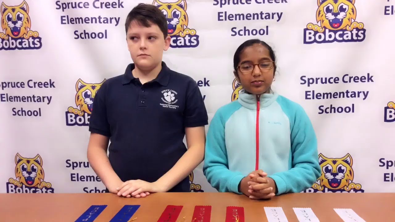 Spruce Creek Elementary Live Stream - YouTube