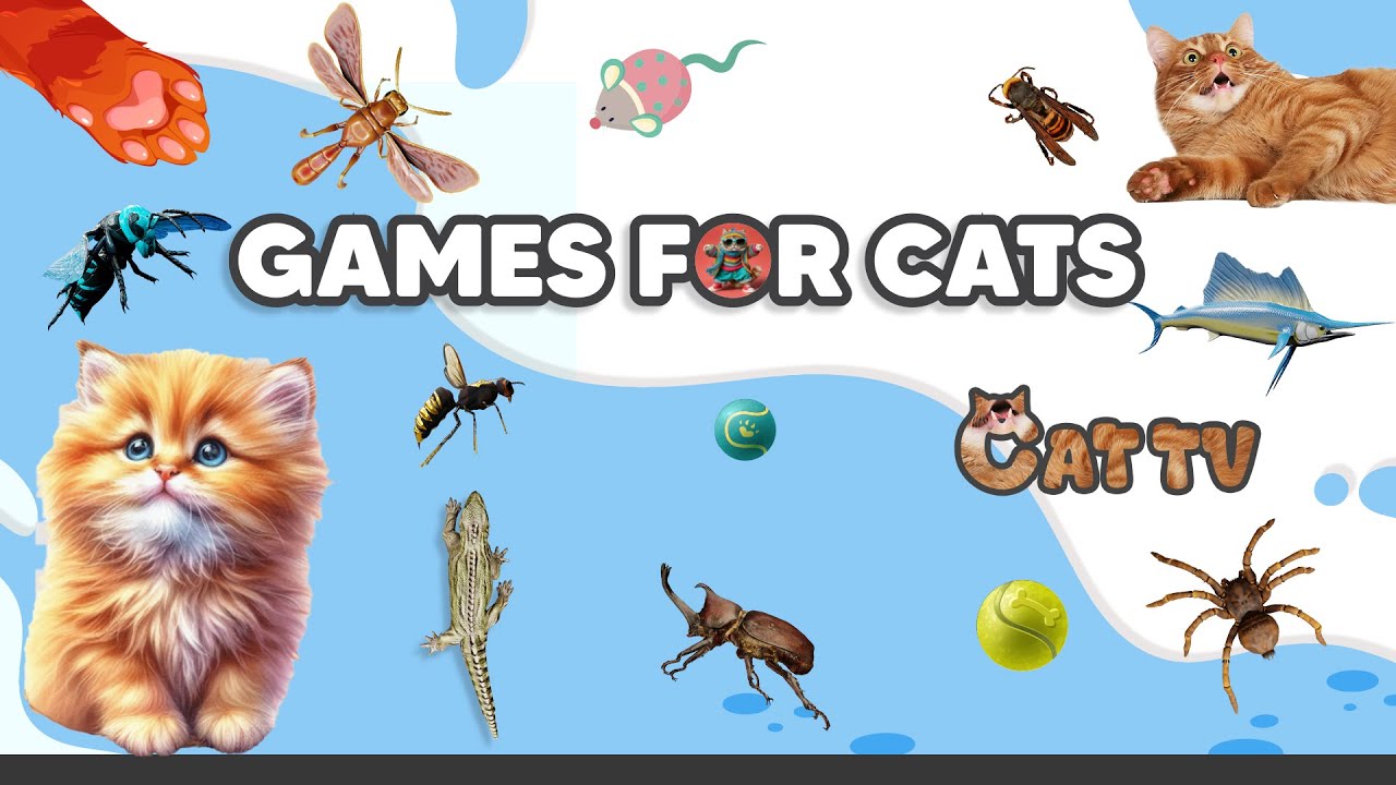 Desert Cat Games 🐜🐍 Fast Bugs & Lizards Running in 4K - YouTube