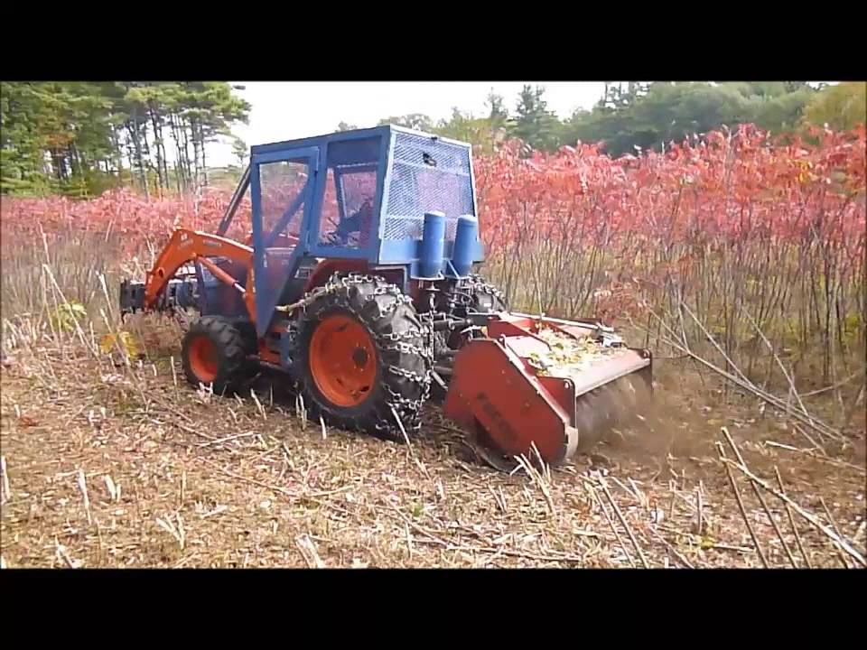 Mast Road Old Field Habitat Management - YouTube