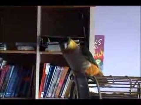 Beaker's Voice - YouTube