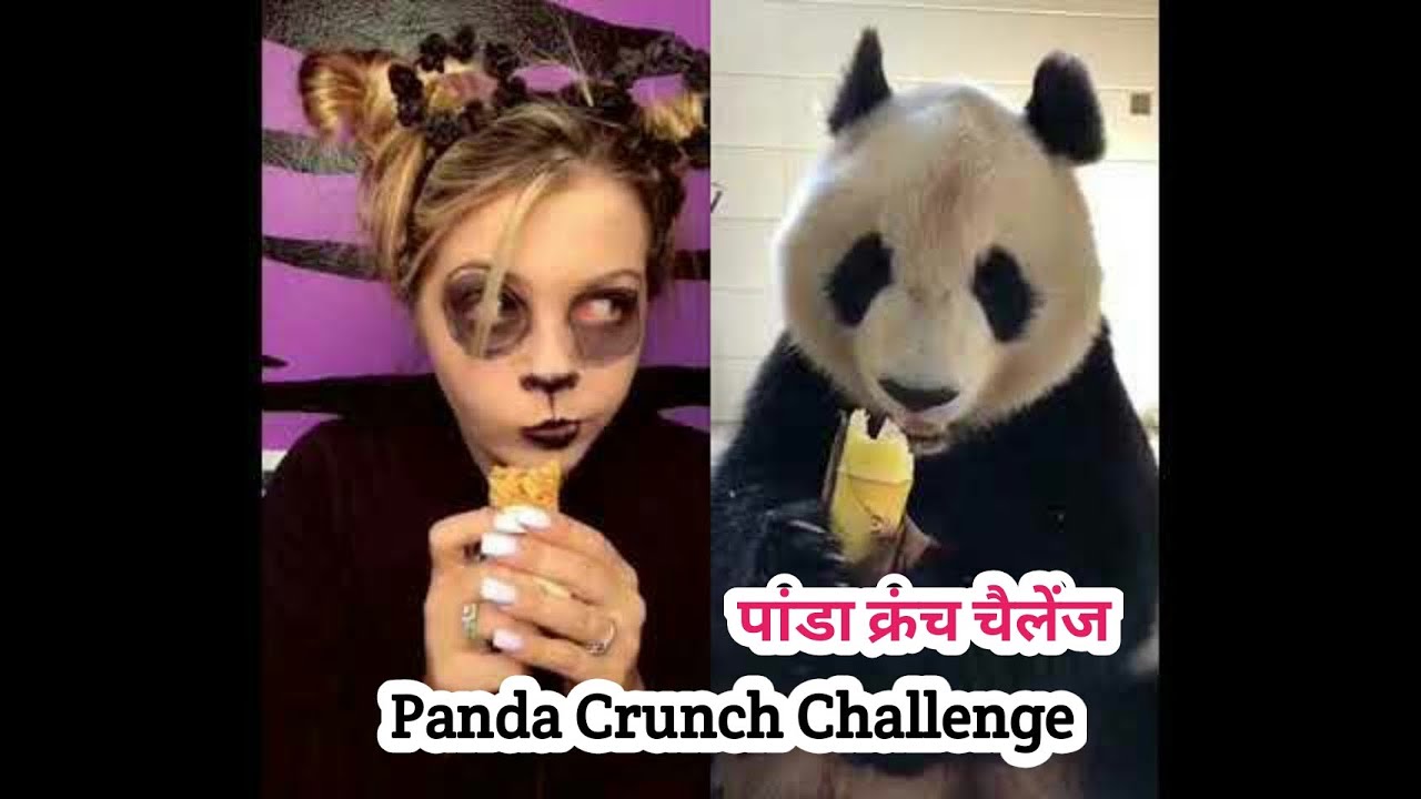 Panda Crunch Challenge TikTok - YouTube