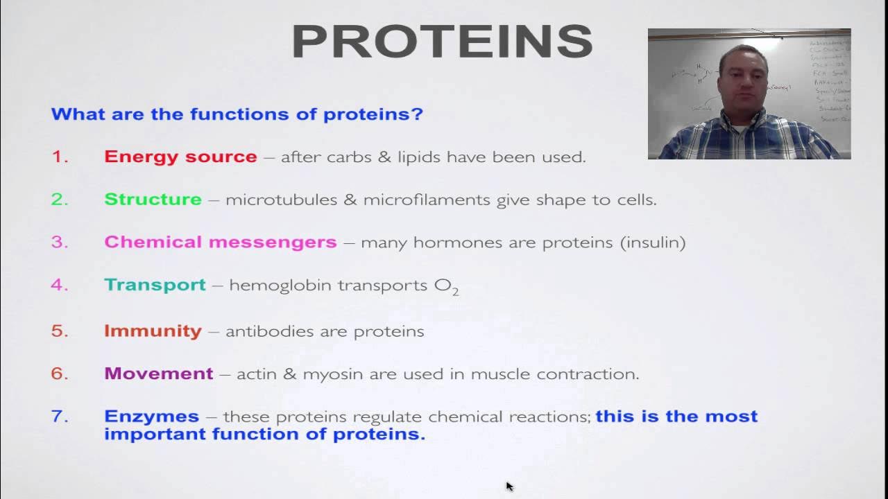 Menu 2C Episode 2 - Protein Structure and Function - YouTube