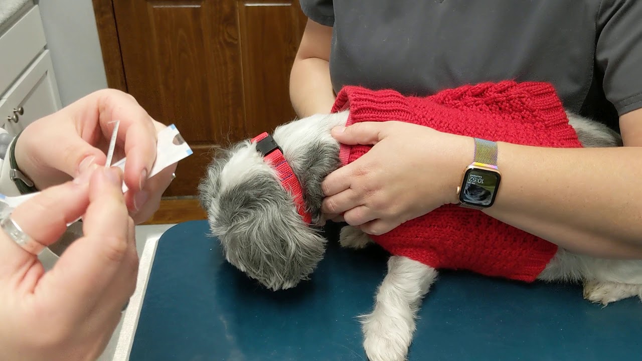 wesley-s-dry-eye-test-youtube