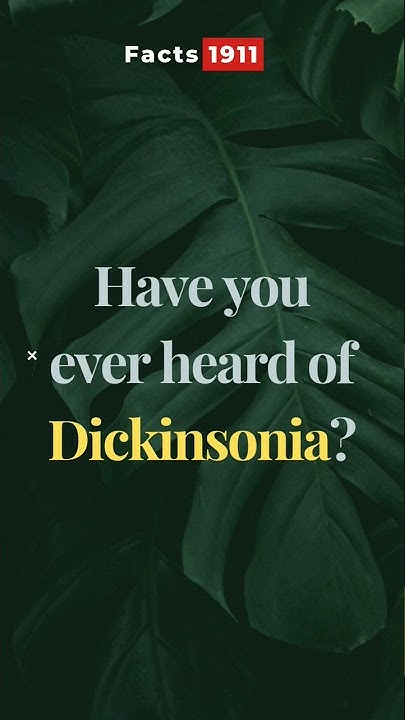 The Oldest Species on Earth🌍 | Facts_1911💡| #dickinsonia #oldestspecies ...