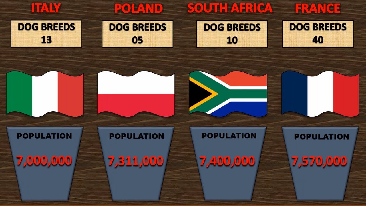 Population Comparison: Highest Dog Population By Country | How Many Dog ...