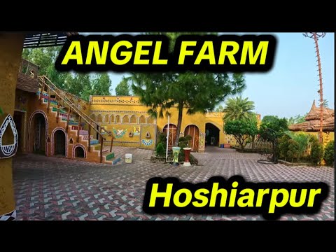 ANGEL FARM Hoshiarpur // Best Luxury Farm in Punjab //hoshiarpur da ...