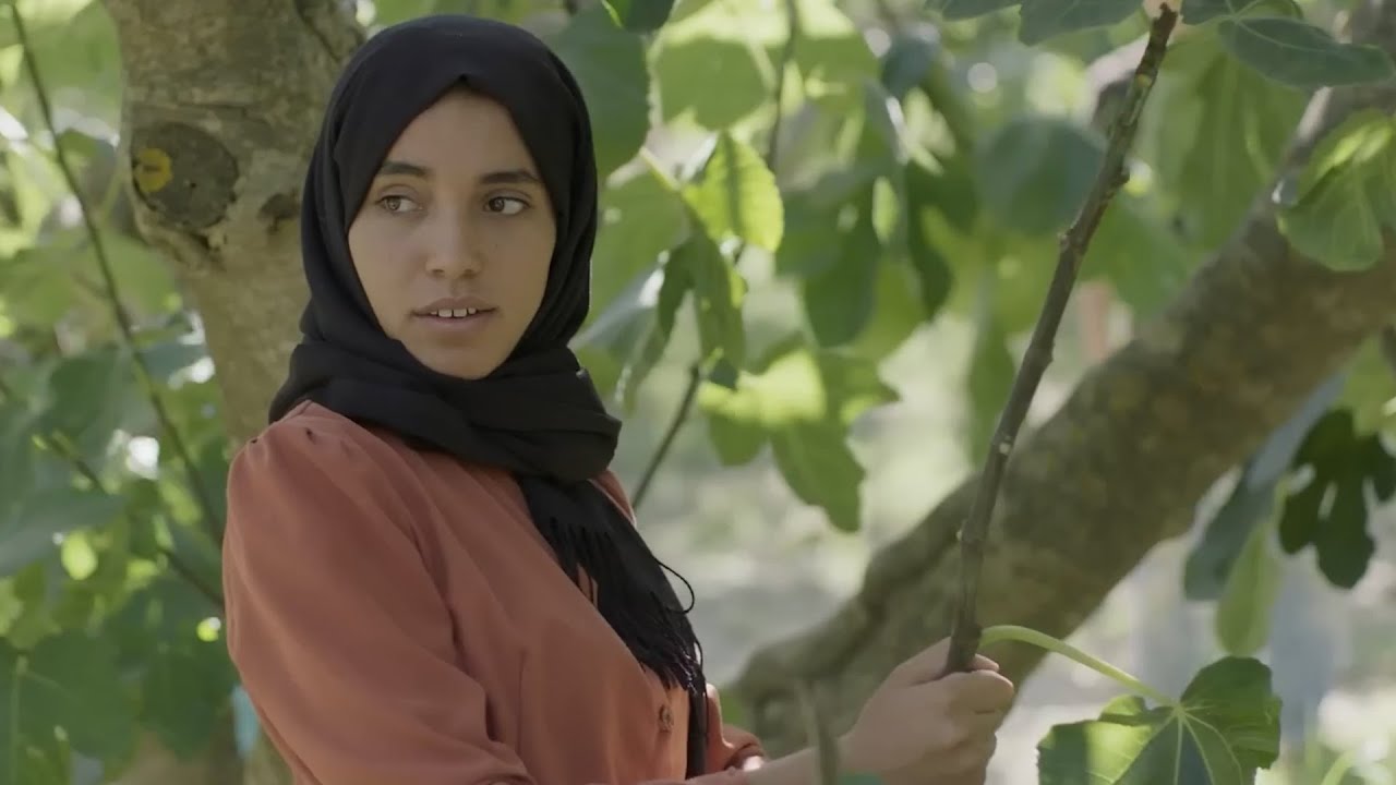 Under The Fig Trees — Trailer (2021) - YouTube