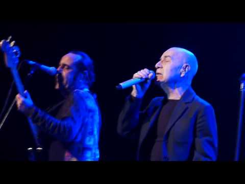 Mazhar Fuat Özkan - Sarı Laleler (Canlı)
