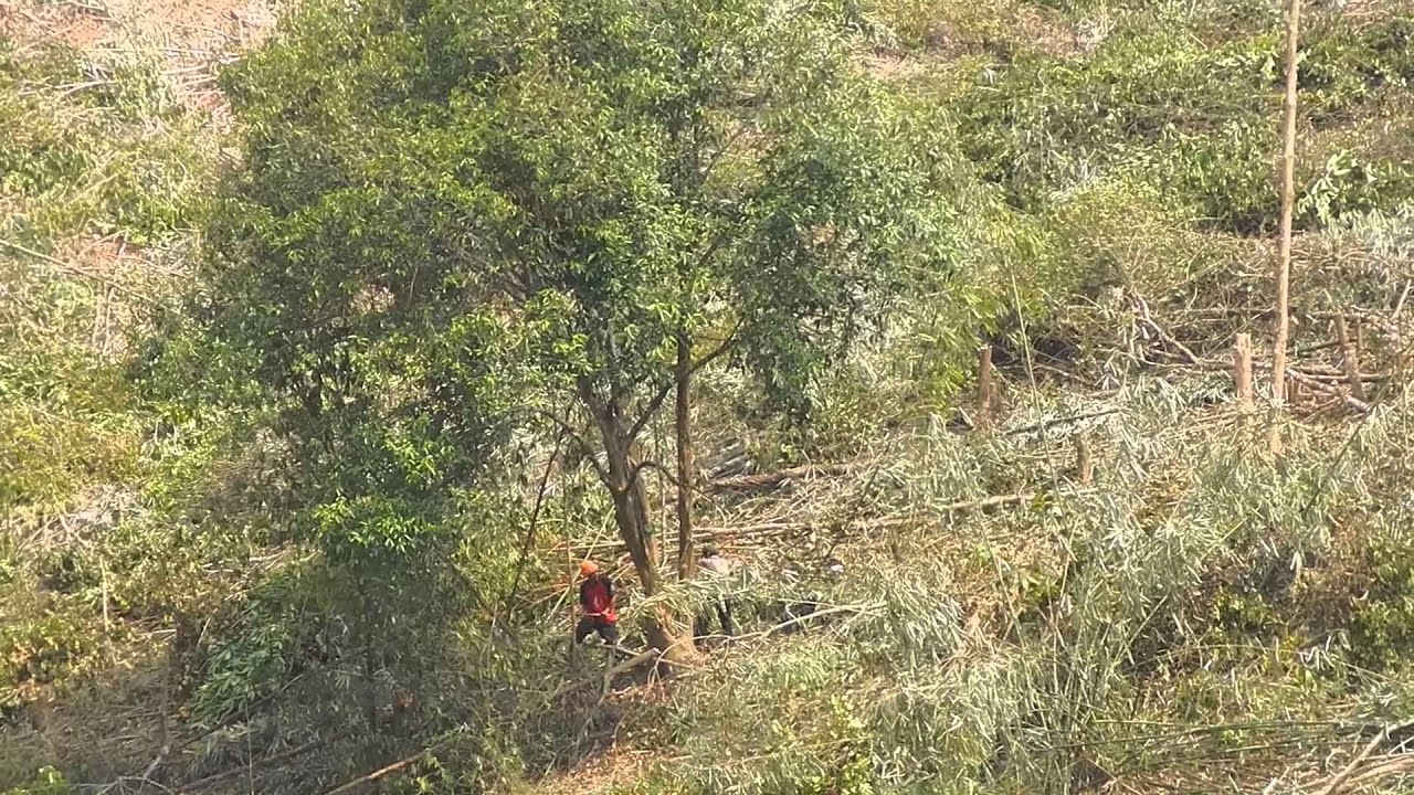 mus luaj teb nyob nplog teb - YouTube