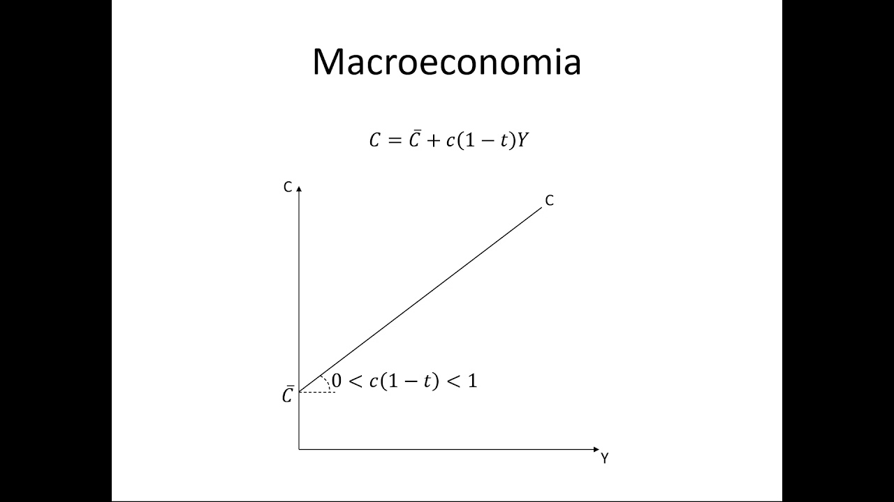 Macroeconomia 080 Demanda Agregada Função Consumo ADENDO - YouTube