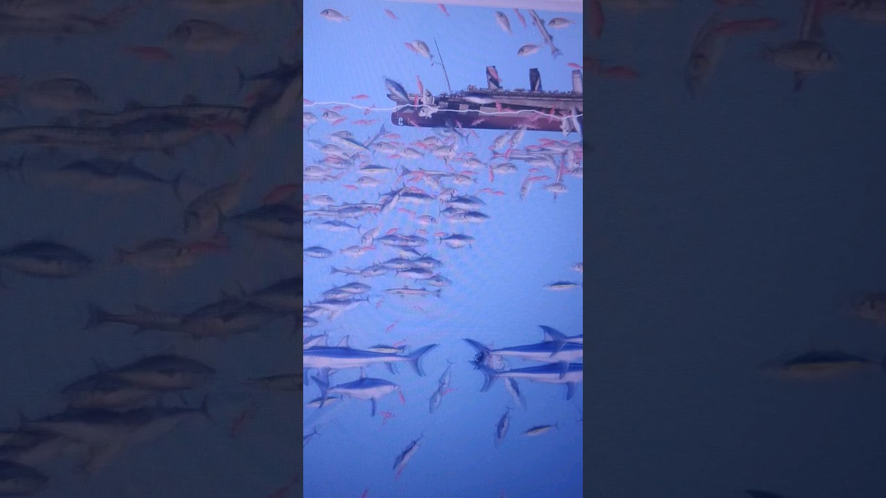 floating sandbox but 10000 fish - YouTube