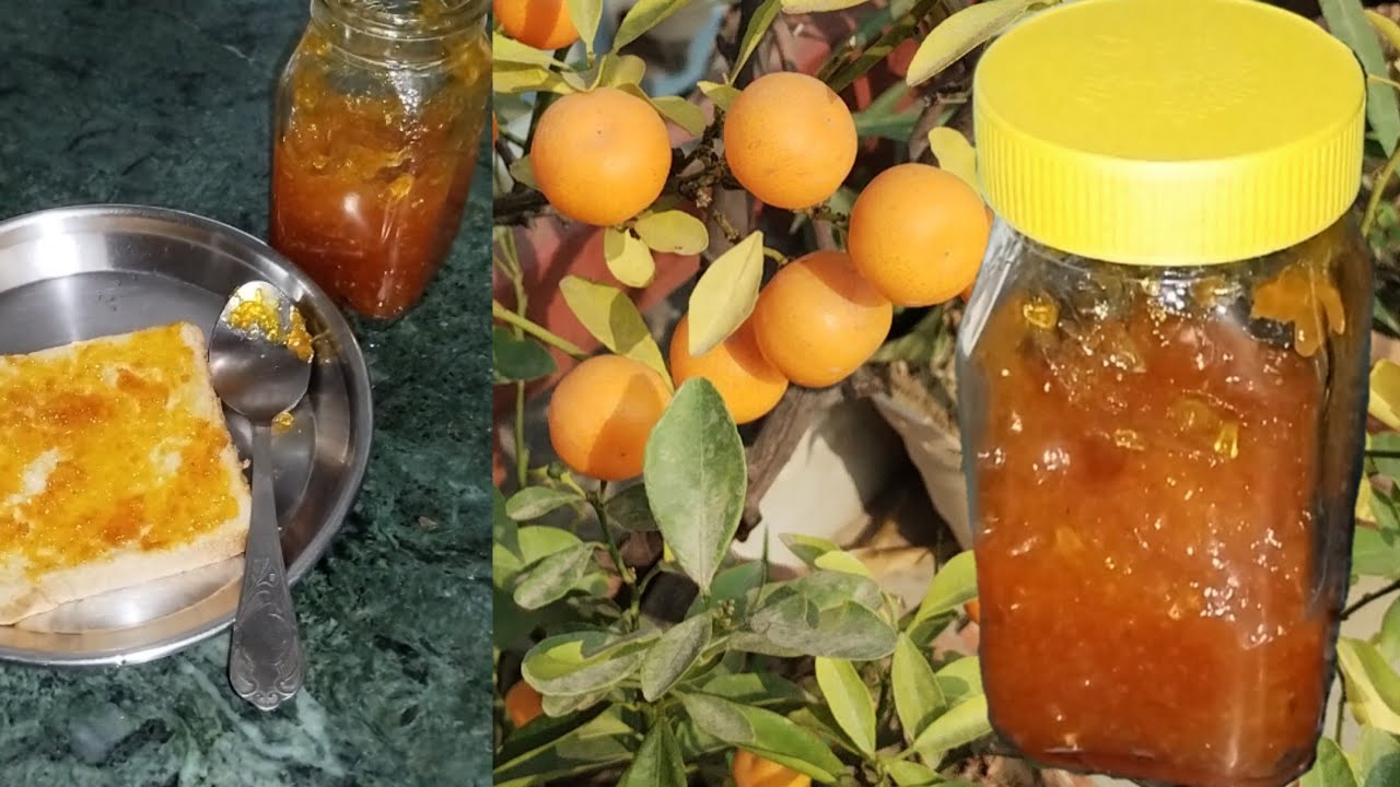 खट्टे नारंगी का जैम, एकदम नई रेसिपी/Narangi Jam Recipe/Mandarine Orange ...