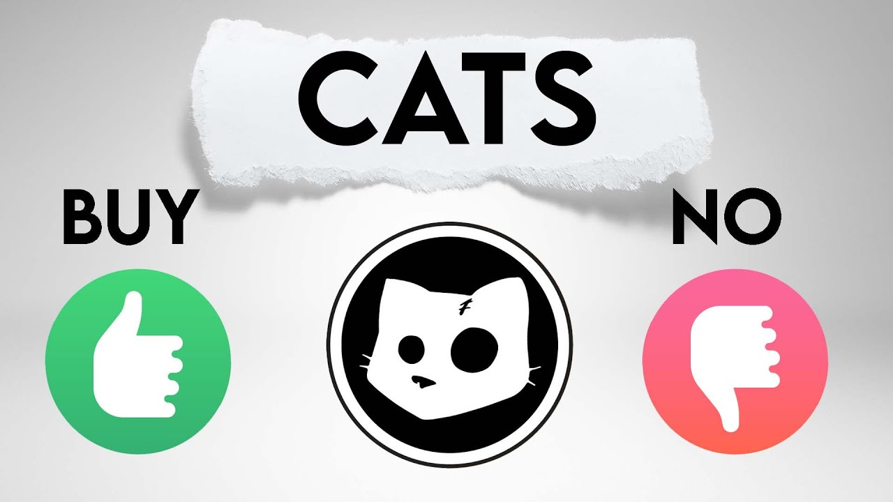 CATS coin Price Prediction. Cats zones of interest - YouTube