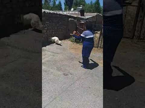 İnanılmaz bir sevgi(2)