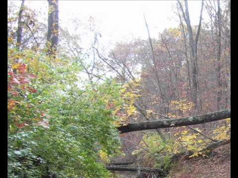 Jefftown Creek.wmv - YouTube
