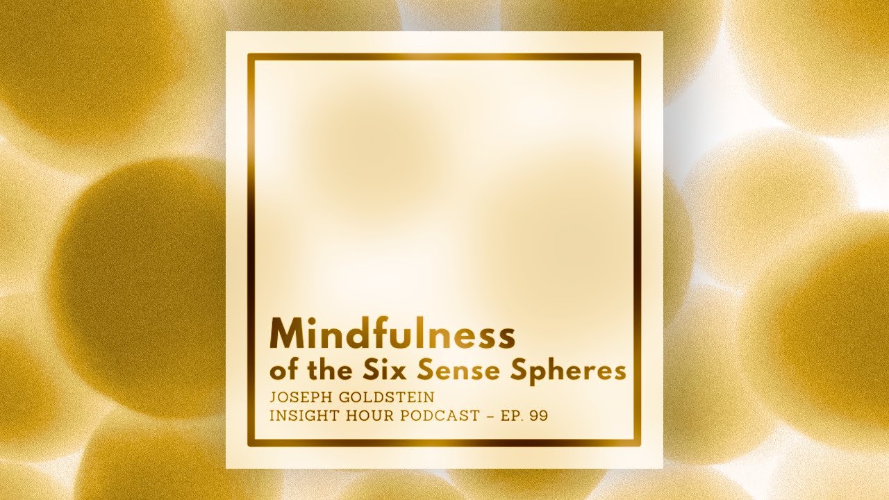 Joseph Goldstein – Insight Hour – Ep. 99 – Mindfulness of the Six Sense ...